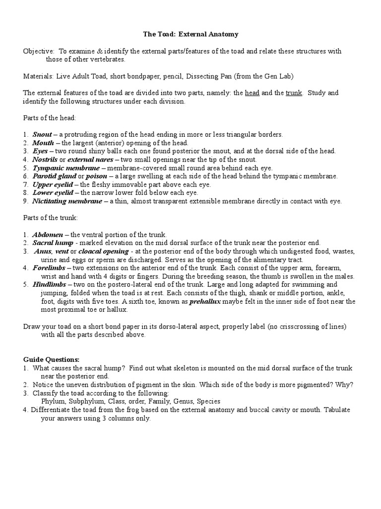 Ex 8 Toad's External Anatomy | PDF | Anatomical Terms Of Location | Toe