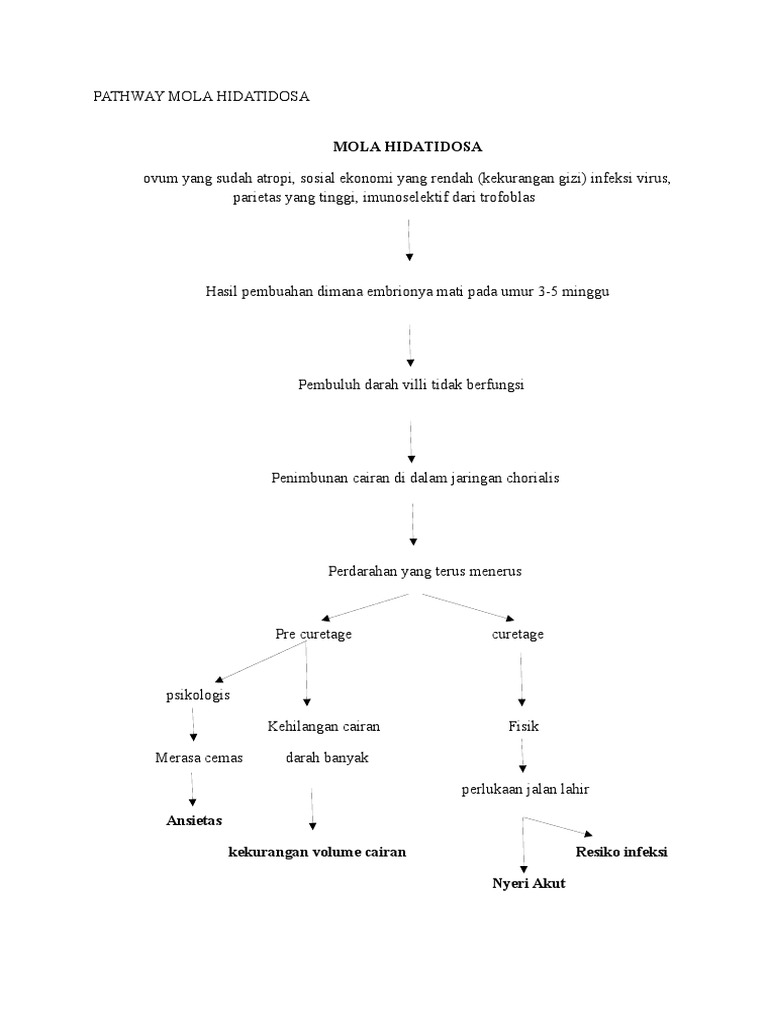 Pathway Mola Hidatidosa | PDF