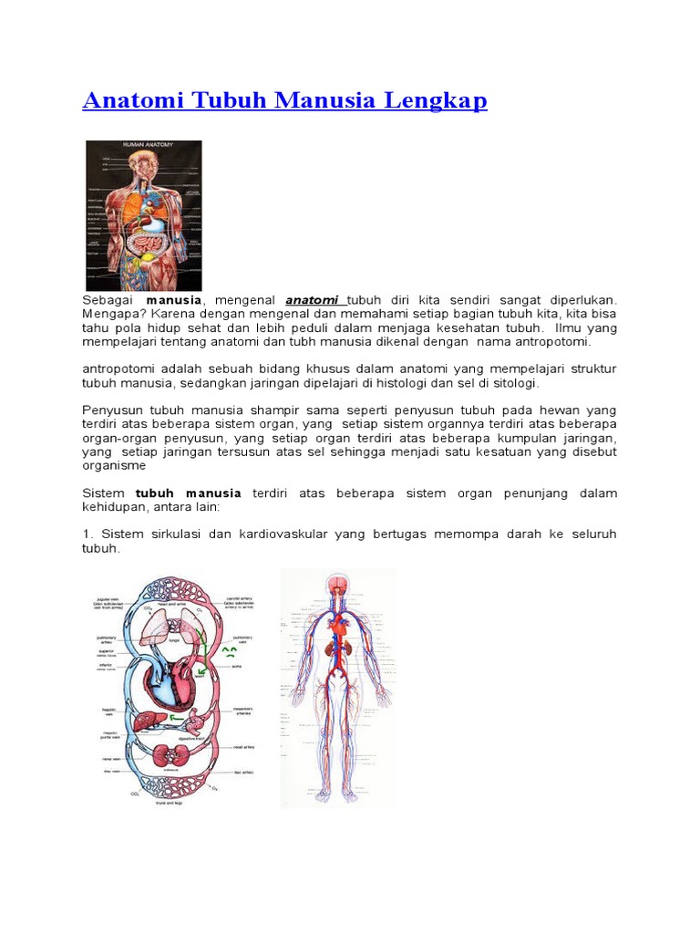 Anatomi Tubuh Manusia Lengkap