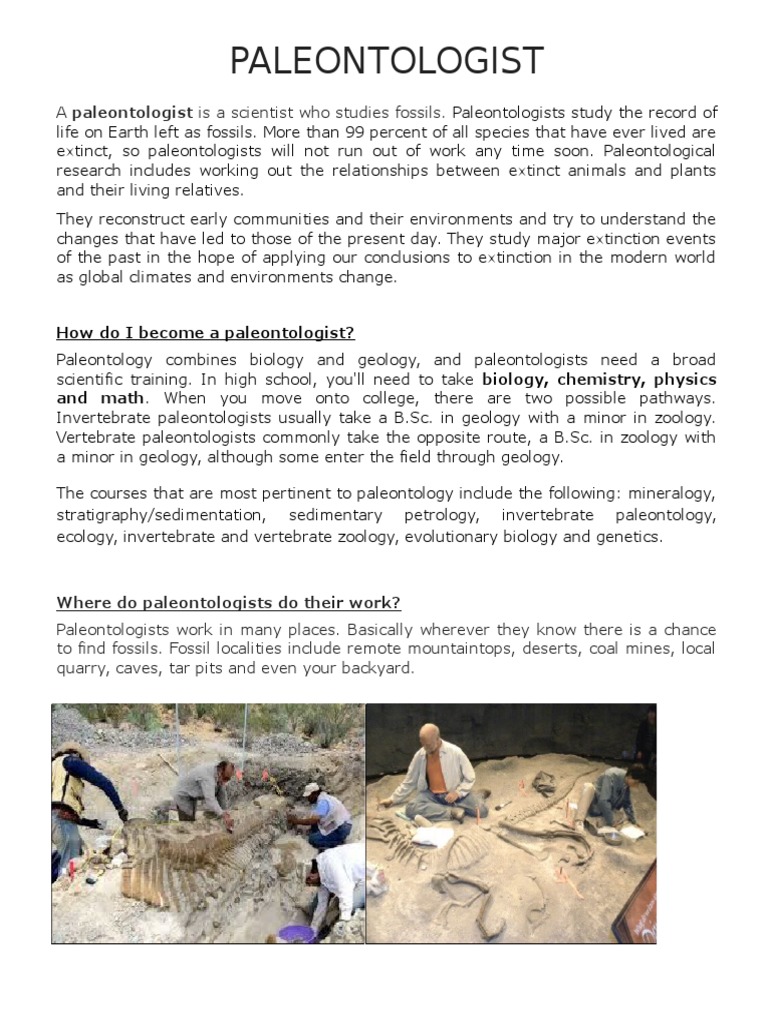 Paleontologist: How Do I Become A Paleontologist? | PDF