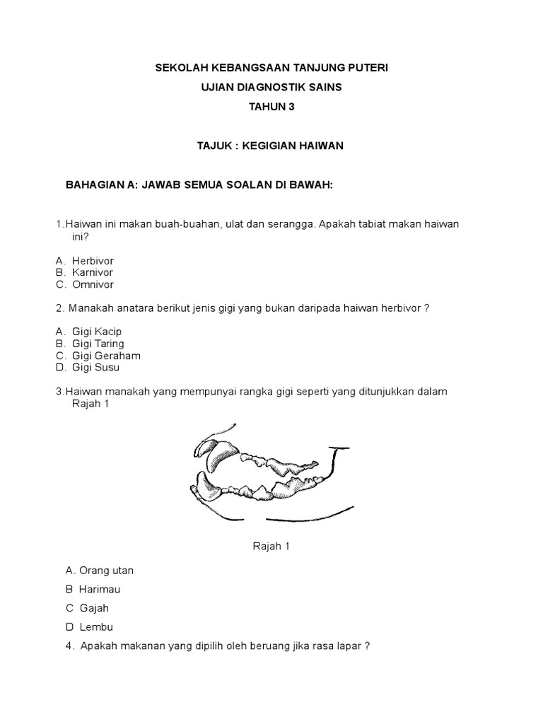 Ujian Diagnostik Pdf