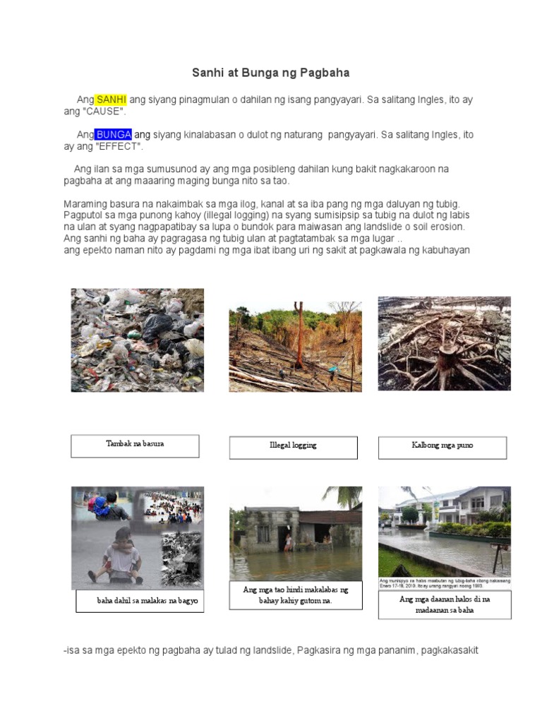 Sanhi at Bunga NG Pagbaha | PDF