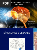 Síndromes Alternos del Tallo Cerebral | PDF | Sistema nervioso central ...