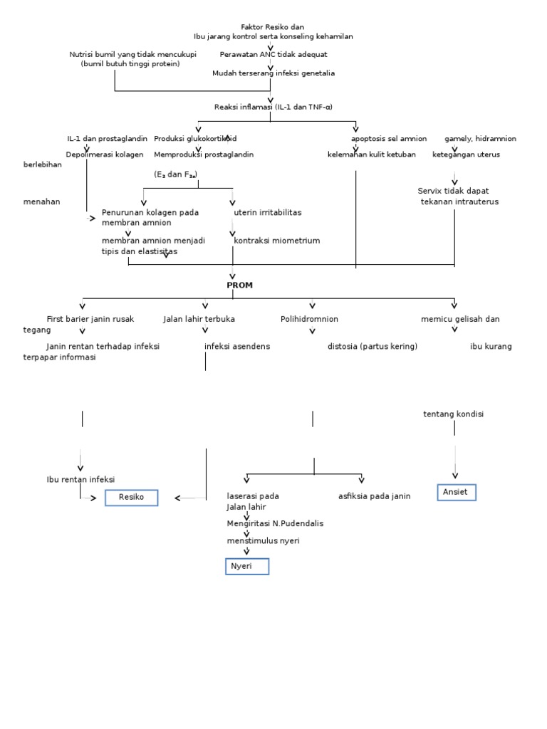 Patofisiologi KPD | PDF