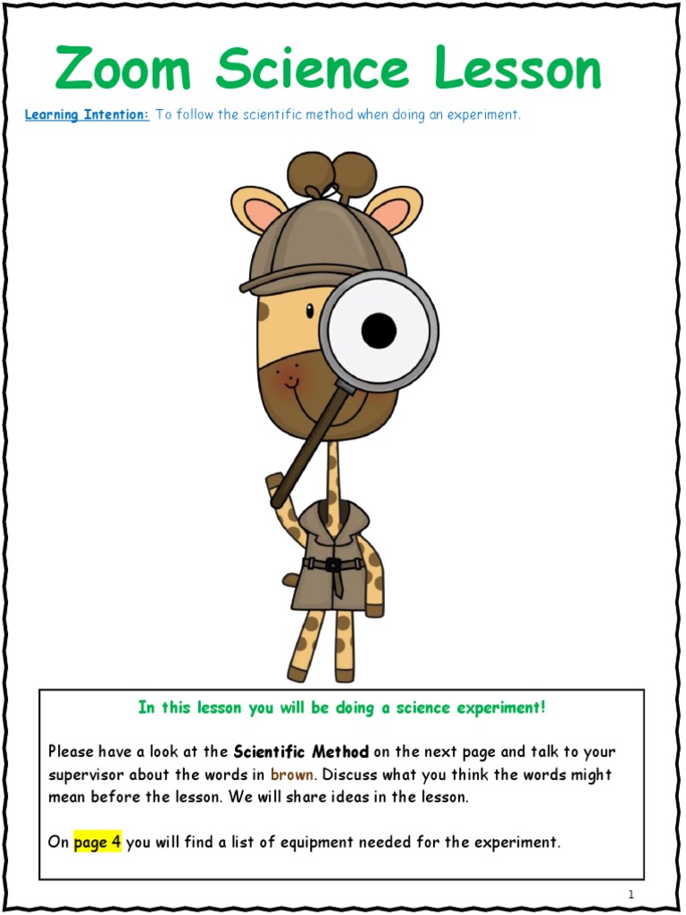 Zoom Science Lesson | PDF | Experiment | Scientific Method