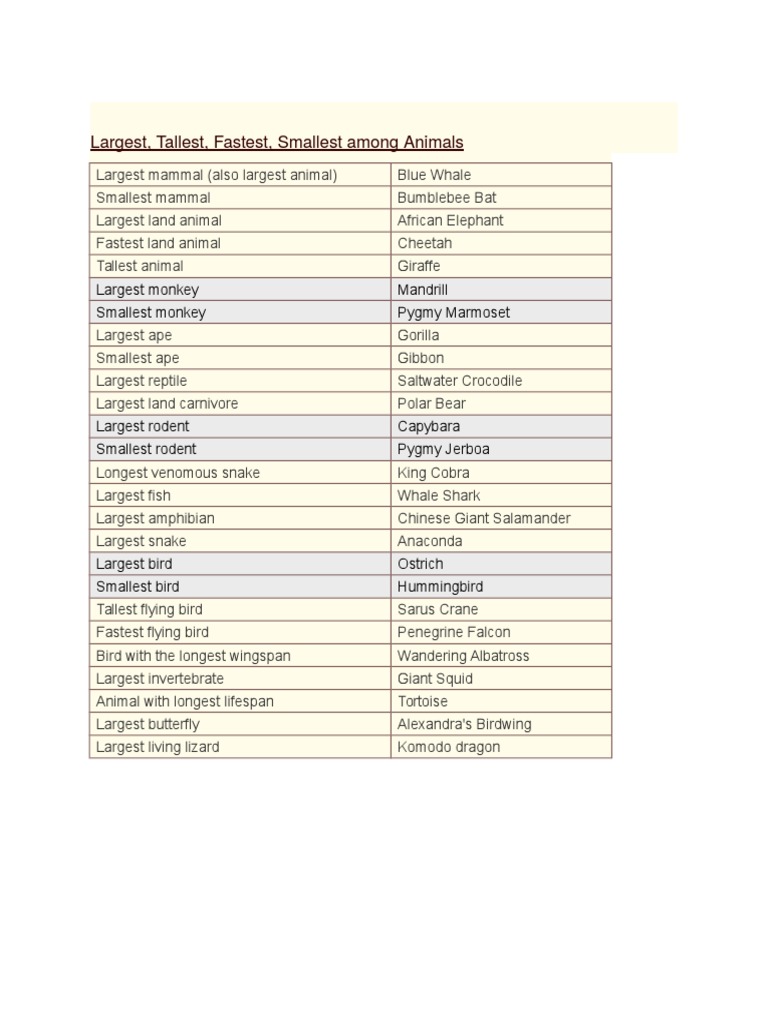 Fun Facts With Largest | PDF
