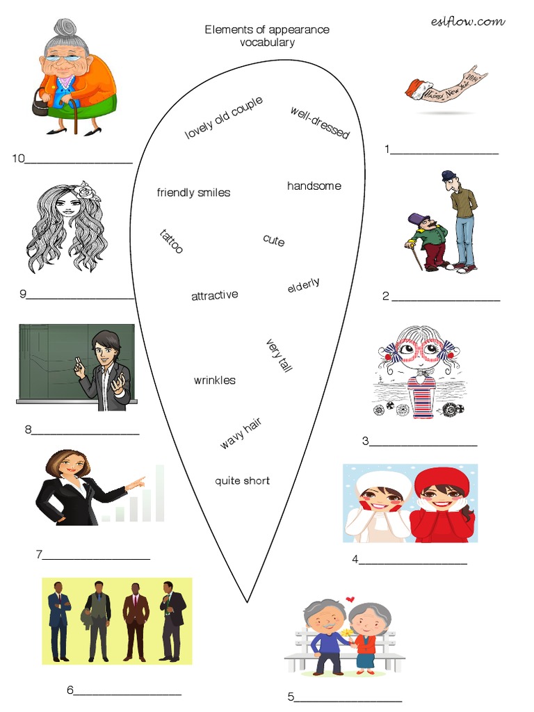 Vocabulary for Describing Appearance | PDF