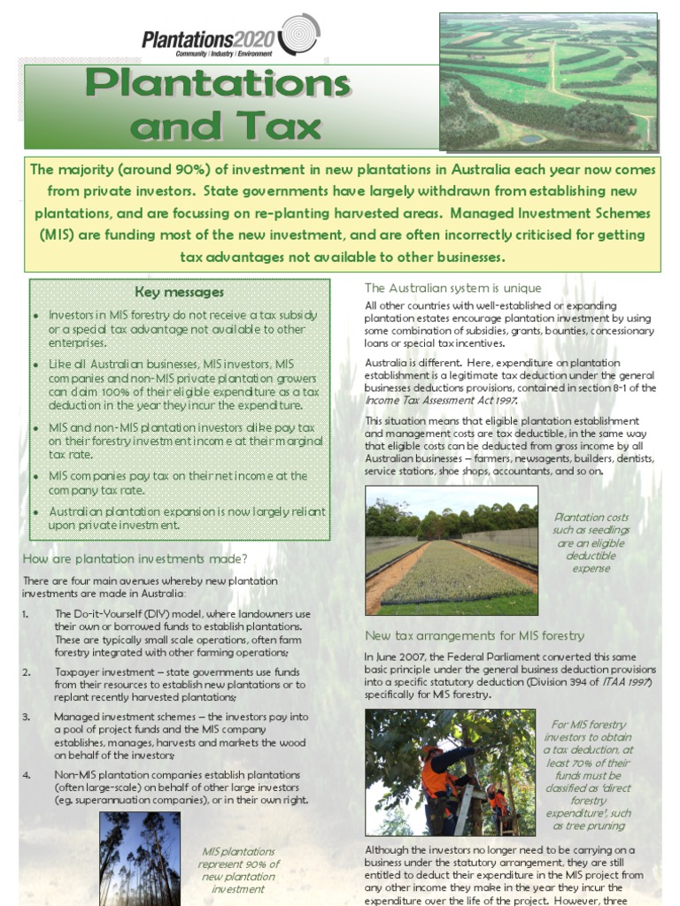 Plantations and Tax Fact Sheet | Download Free PDF | Investor | Taxes