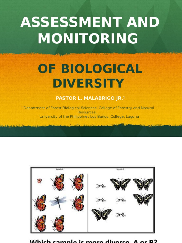 Lecture 4 Measuring Biodiversity | PDF | Biodiversity | Forests