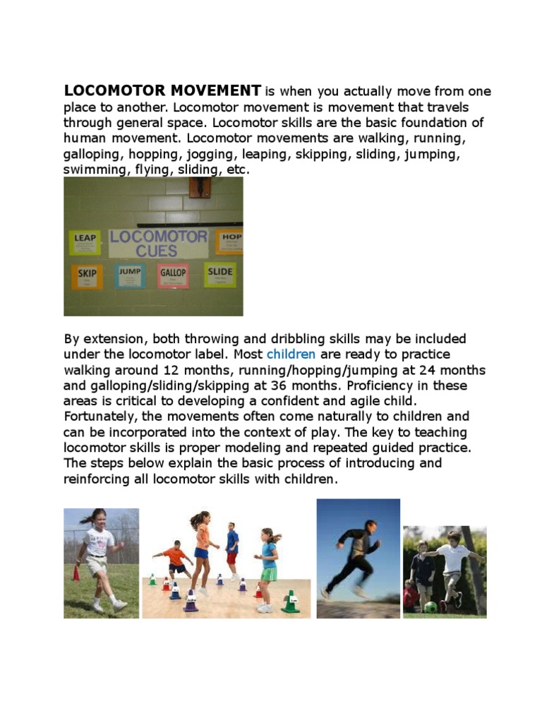 Locomotor Movements | PDF