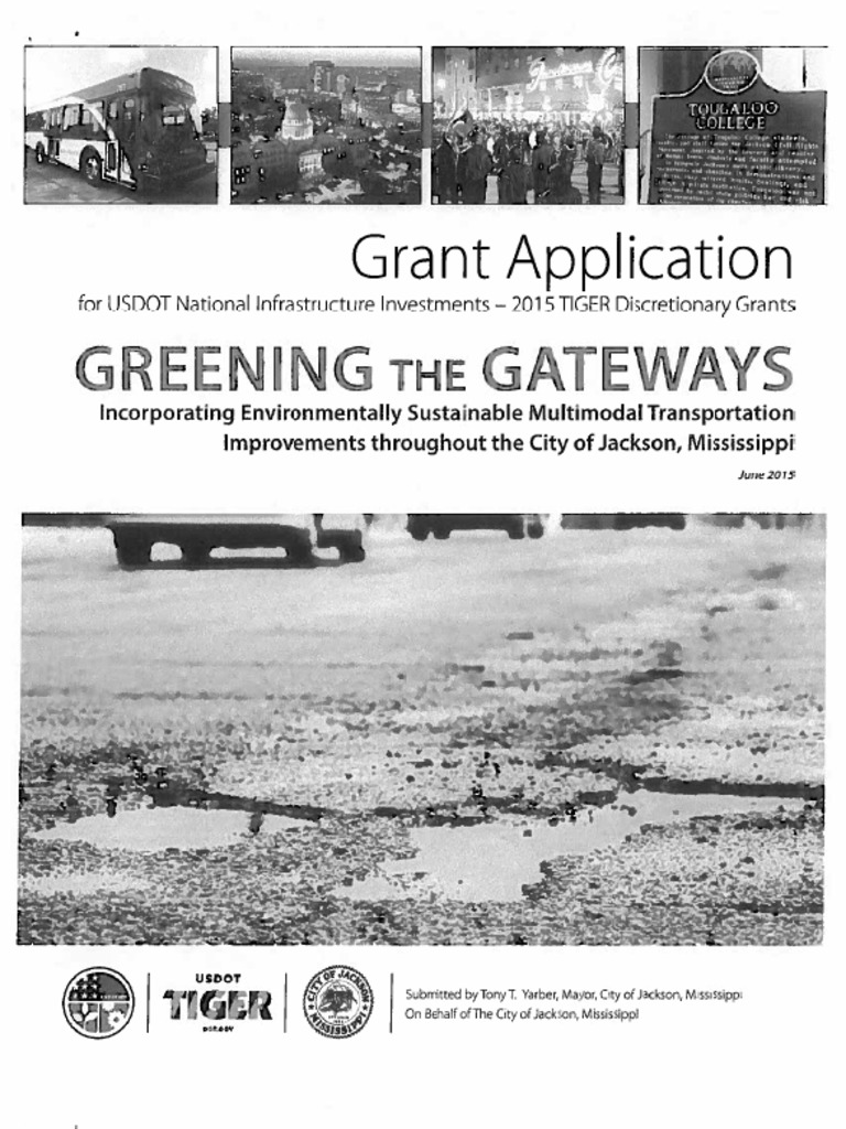 Tiger Grant Application | PDF