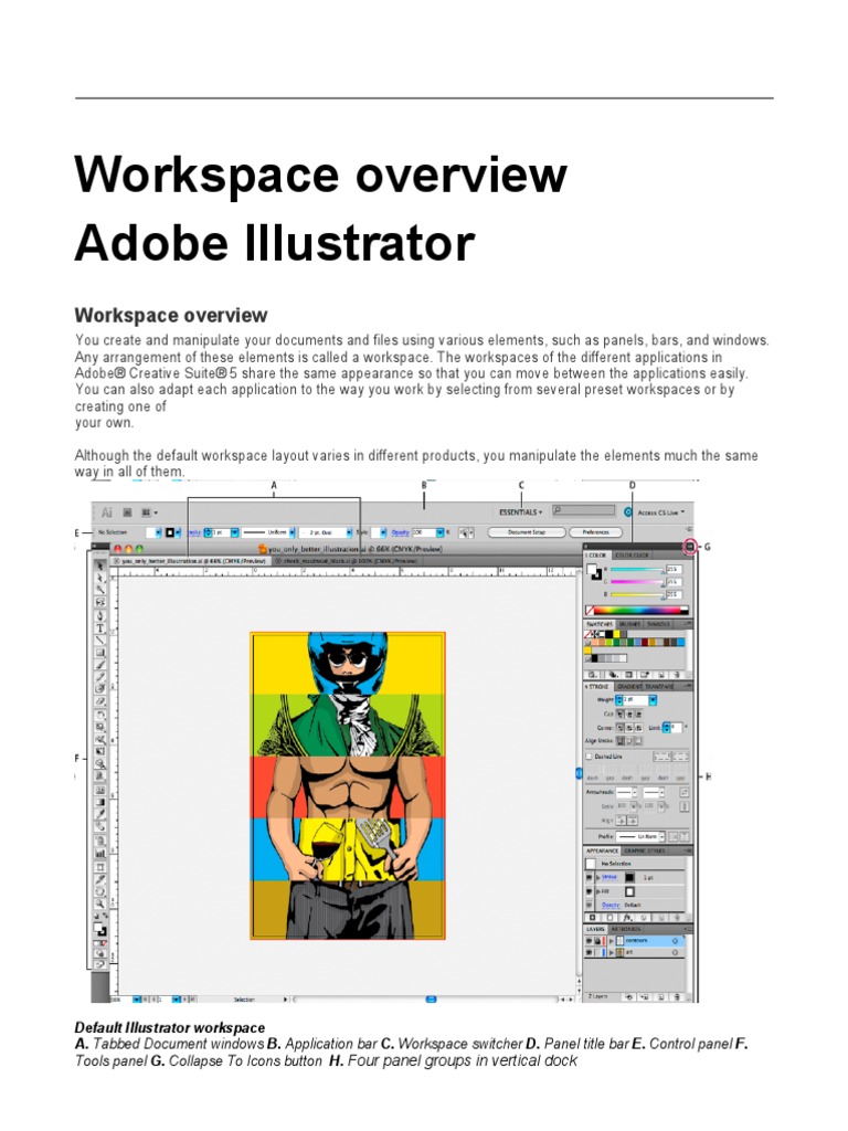 Illustrator Workspace Overview | PDF | Adobe Illustrator | Adobe Photoshop