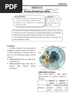 Celula Actividad para Completar | PDF