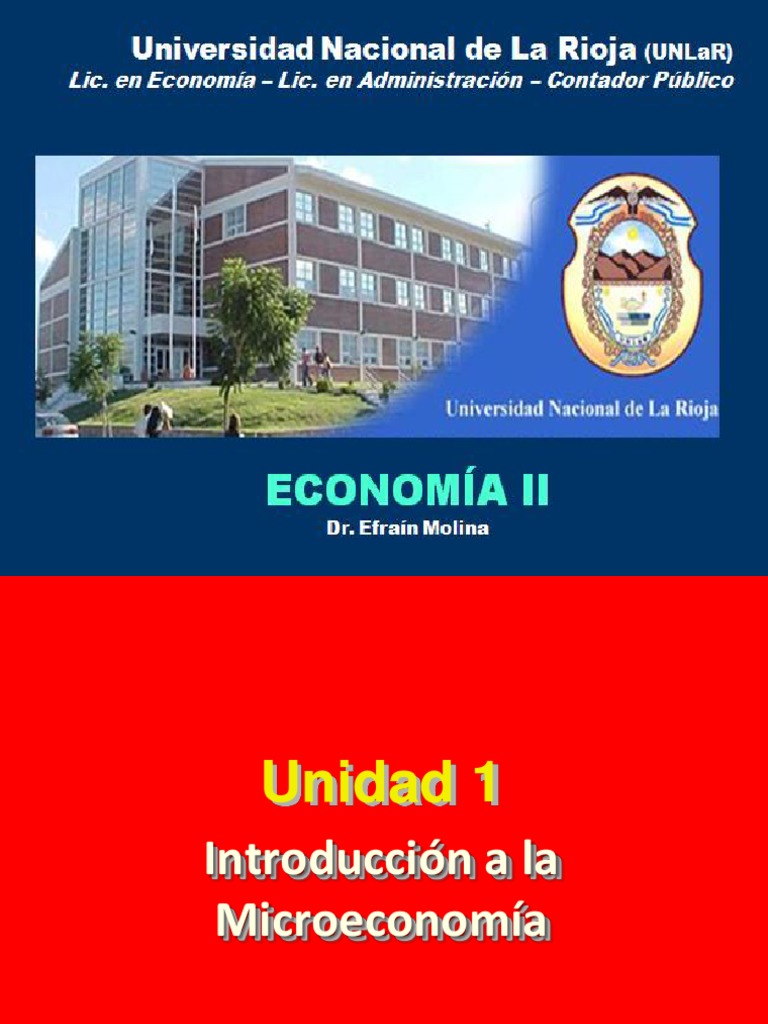 Economia 2 Unlar | PDF | Elasticidad (economía) | Oferta y demanda