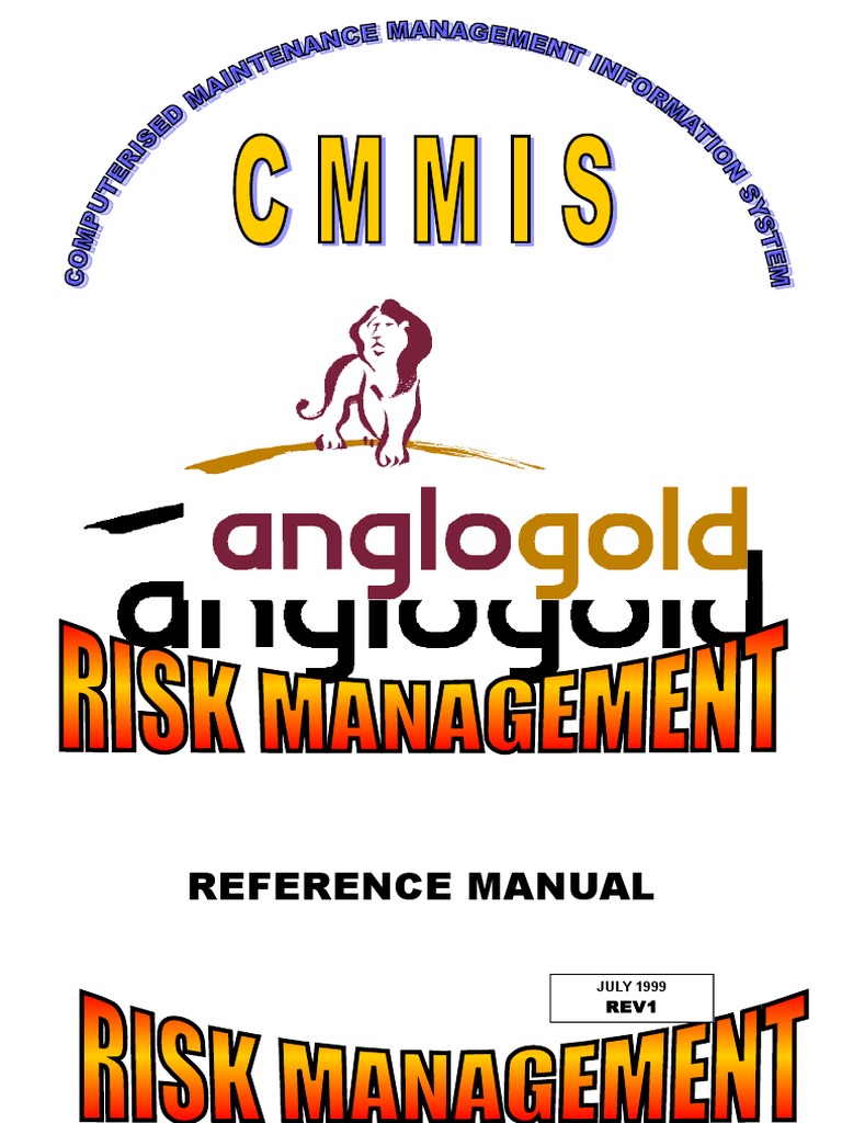 ANGLO GOLD Maintenance Manual | PDF | Risk | Risk Management