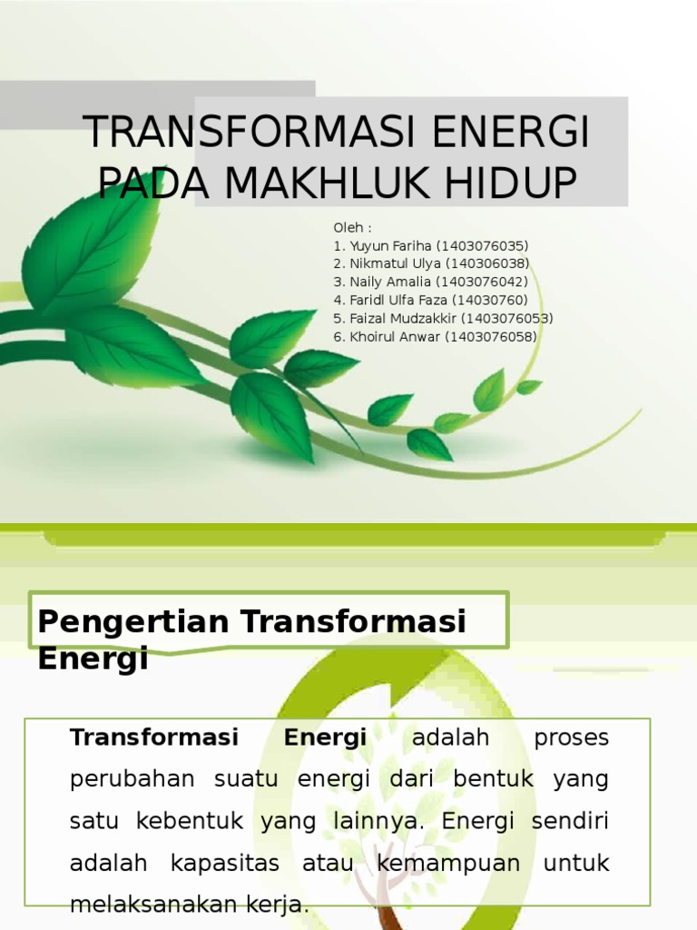 Transformasi Energi Pada Makhluk Hidup