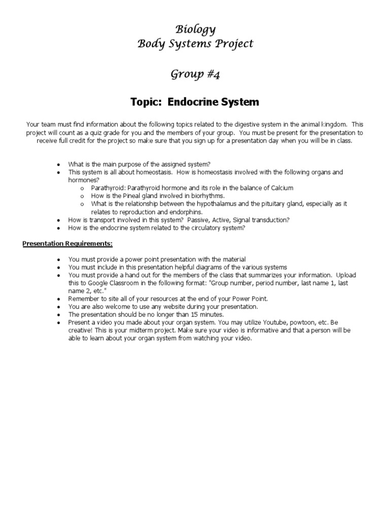 Endocrine System Biology Project Group #4 | PDF