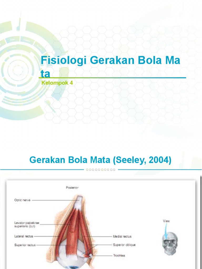 Fisiologi Gerakan Bola Mata | PDF