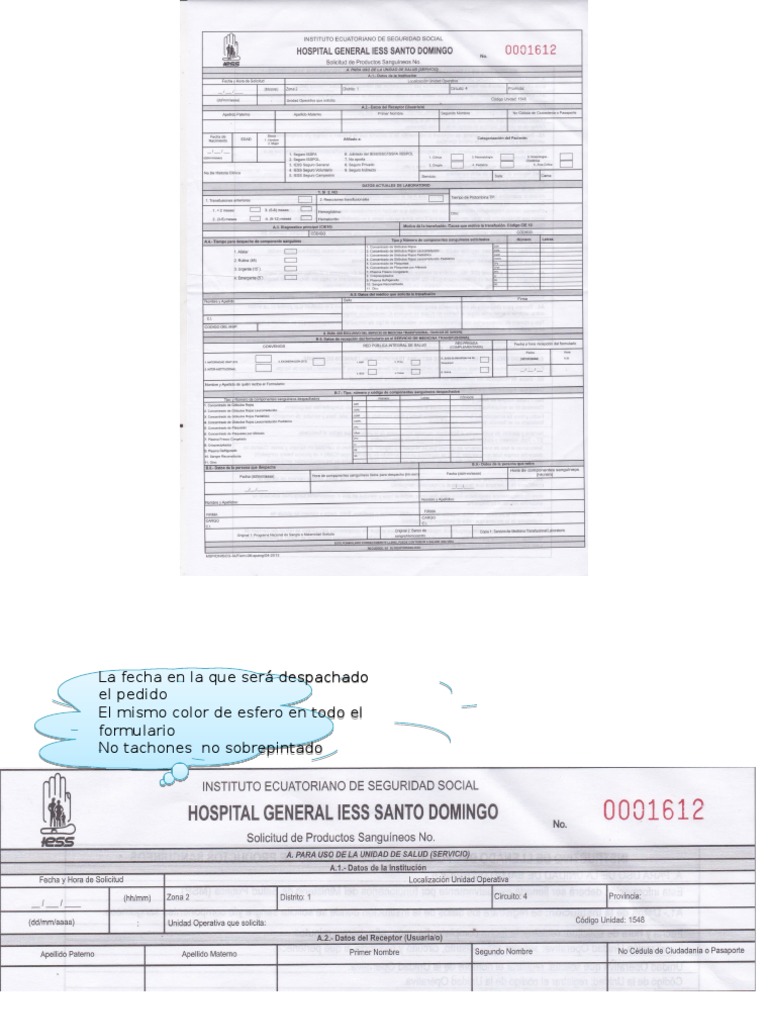 Llenado Correcto Del Formulario