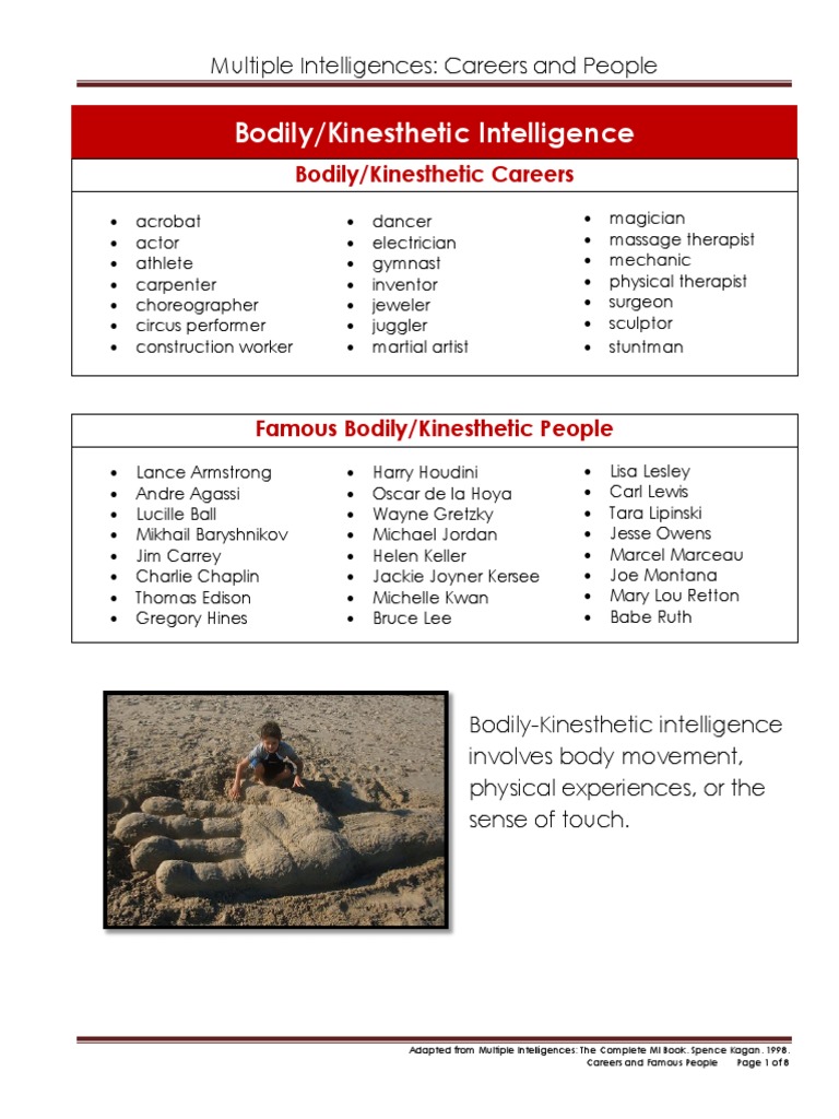 Careers and People Multiple Intelligences | PDF