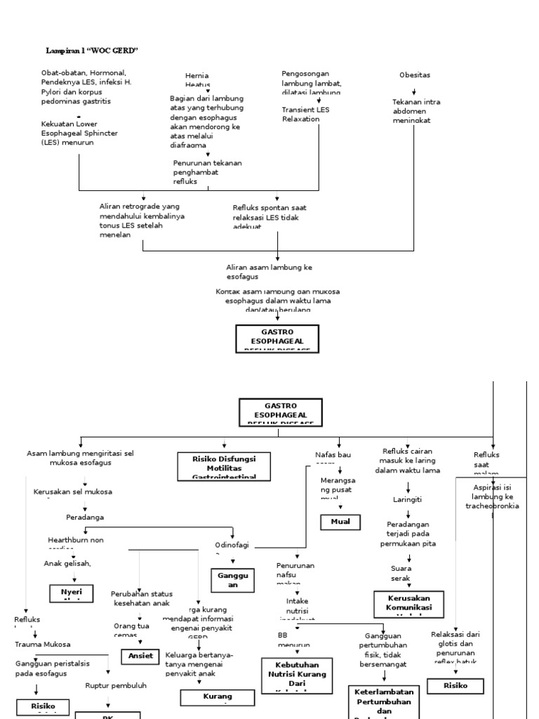 Lampiran 1 "WOC GERD": Gastro Esophageal Refluk Disease | PDF