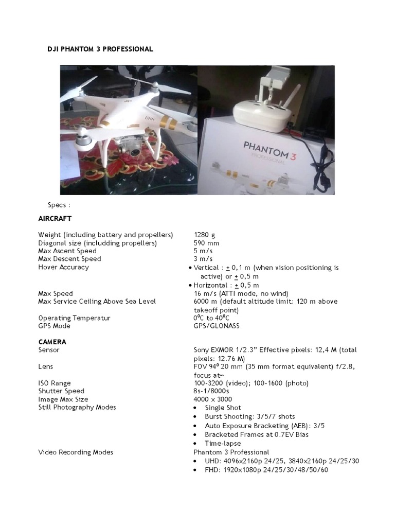 Dji Phantom 3 Professional | PDF | Secure Digital | Imaging