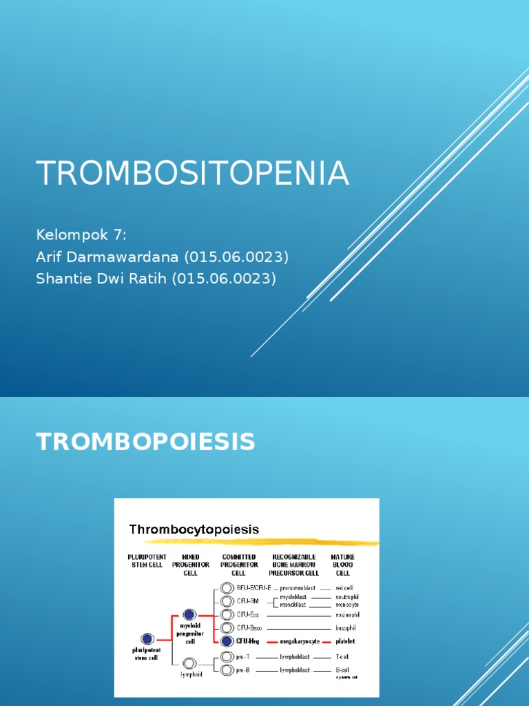 Panduan Trombositopenia | PDF