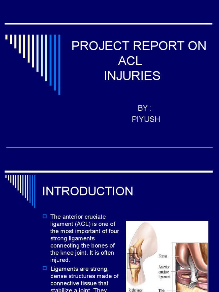 Project Report On ACL Injuries: BY: Piyush | PDF | Nature | Knee