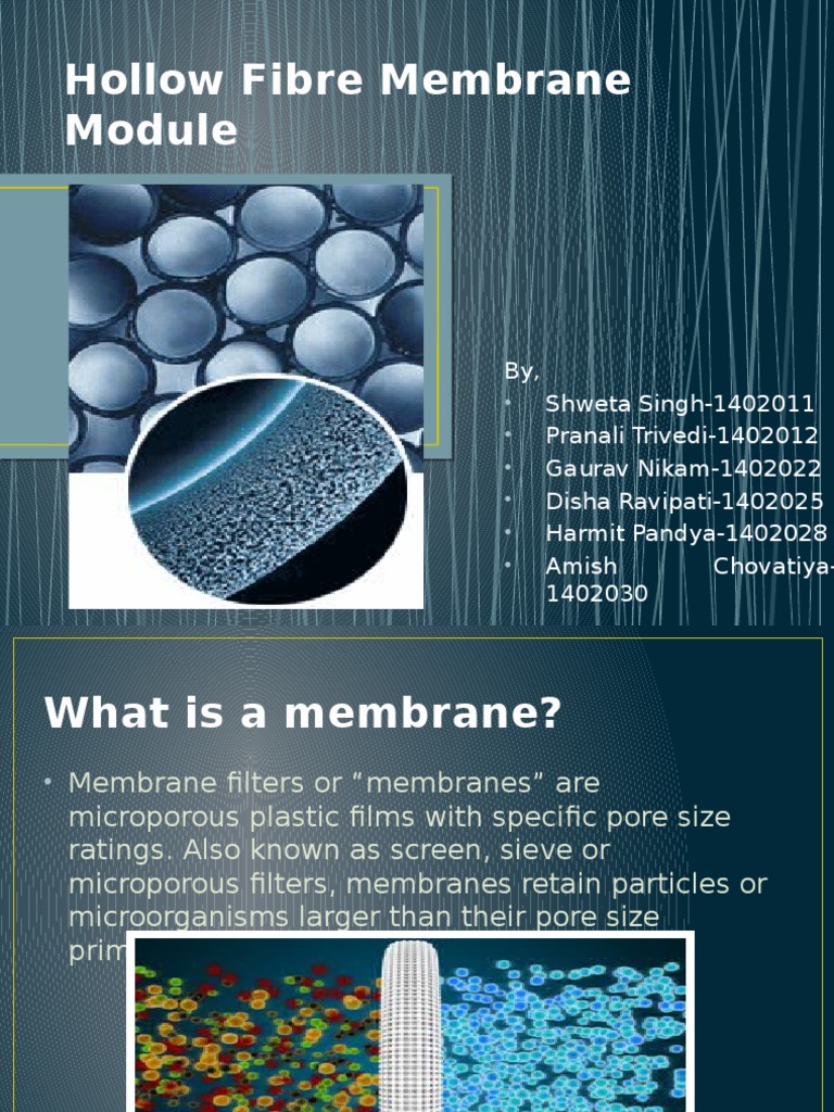 Hollow Fibre Membrane Module | PDF | Membrane | Physical Sciences