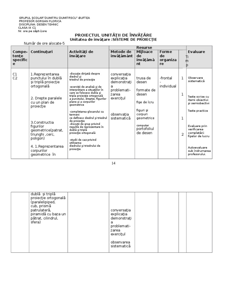Proiect Lectie Desen | PDF