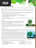 Tree Plantation Project | PDF