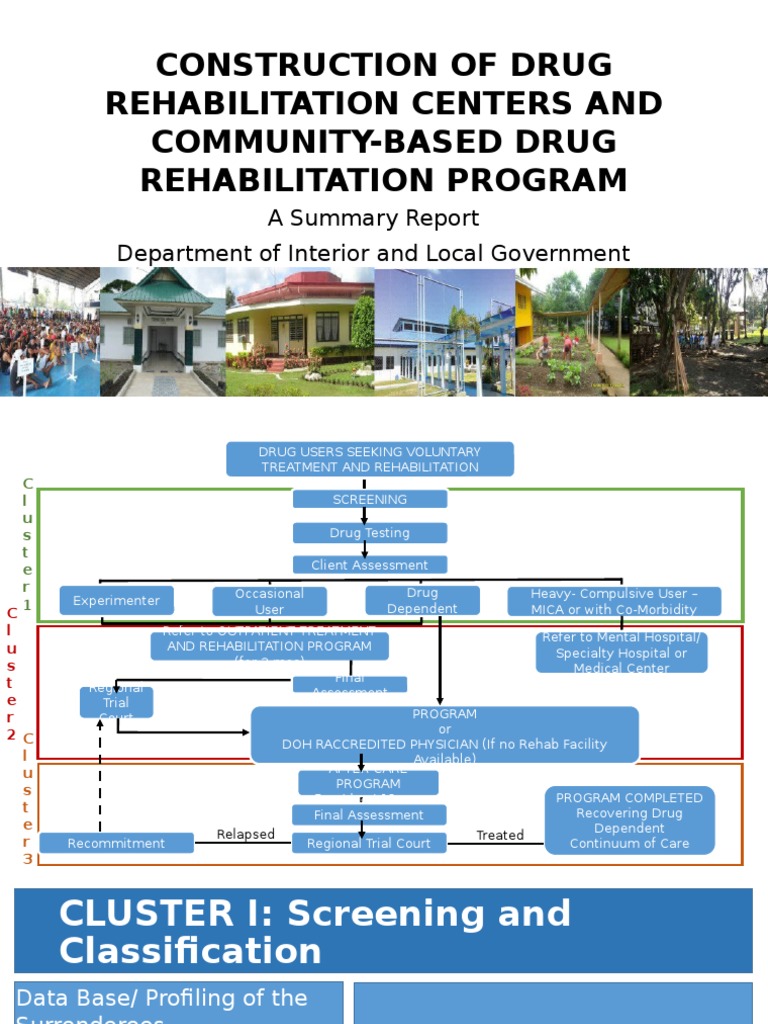 (Summary Report) Drug Rehabilitation Program Final | Drug ...