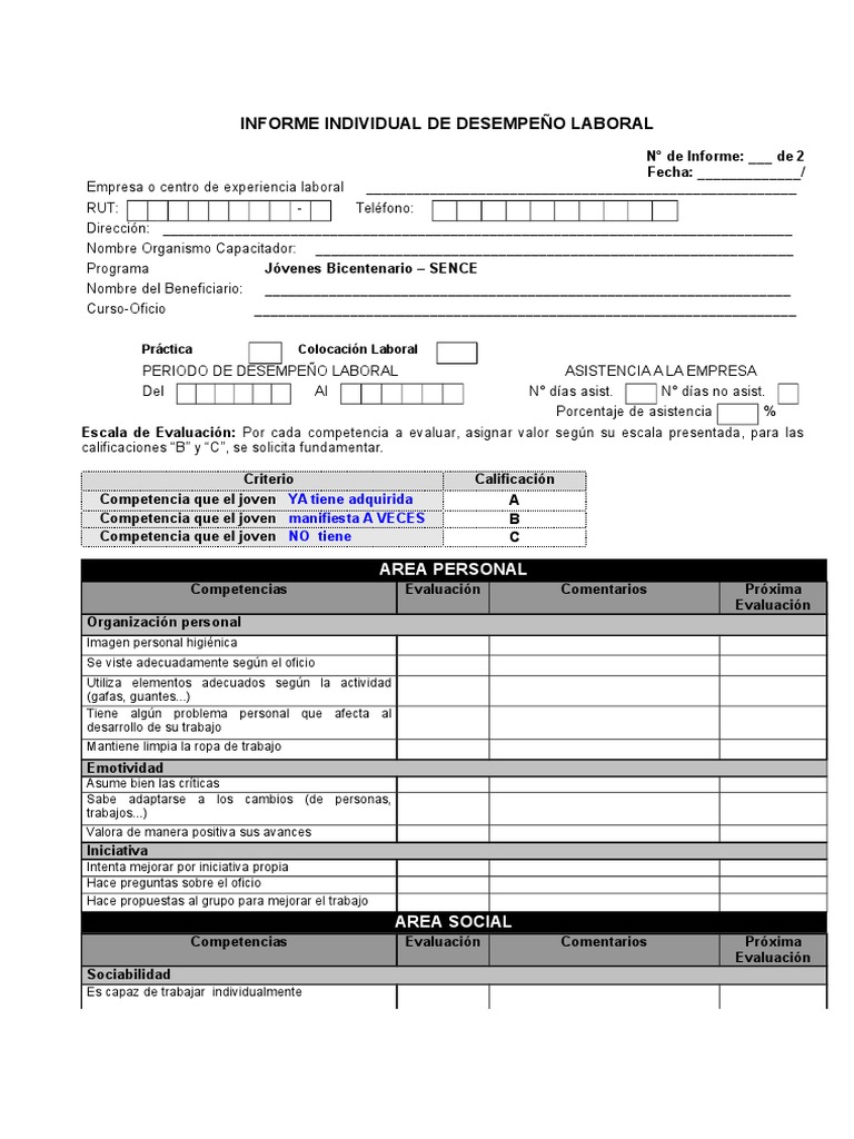 Ejemplo de Informe de Desempeno Laboral | PDF | Cognición | Sicología