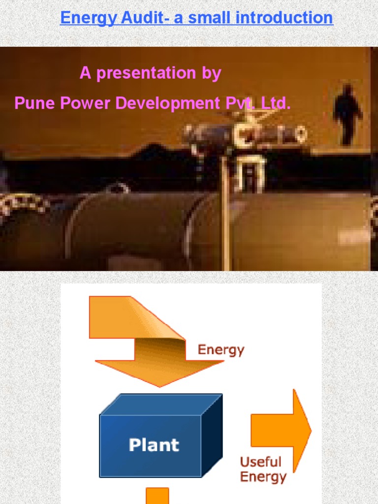 Energy Audit Overview by PPDPL | PDF | Efficient Energy Use | Audit