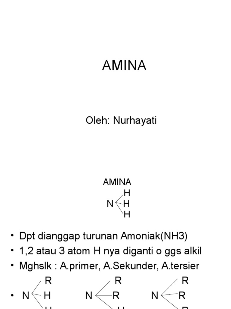 AMINA | PDF