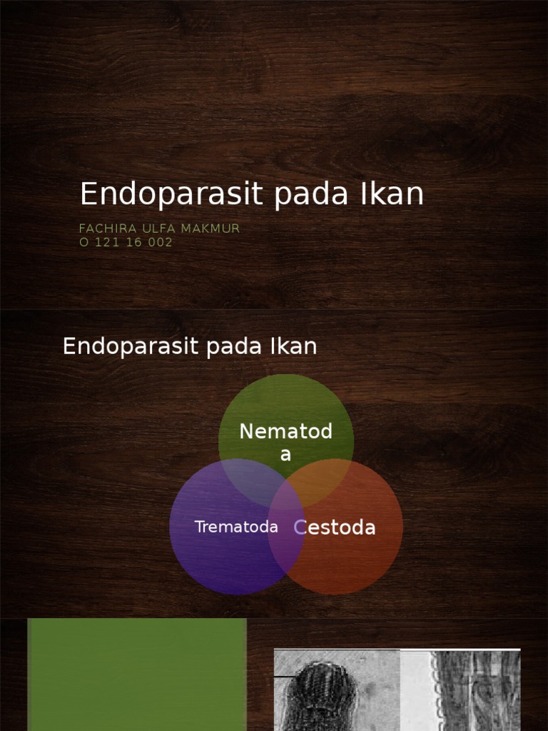Endoparasit Pada Ikan | PDF
