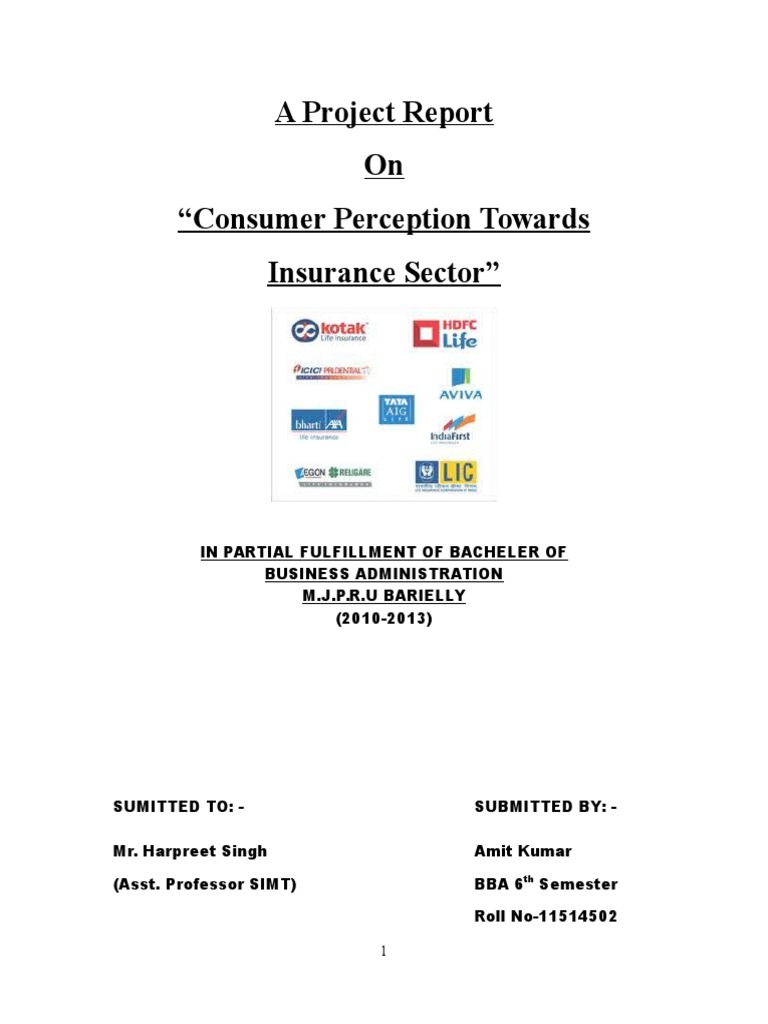 A Project Report On "Consumer Perception Towards Insurance Sector" | PDF