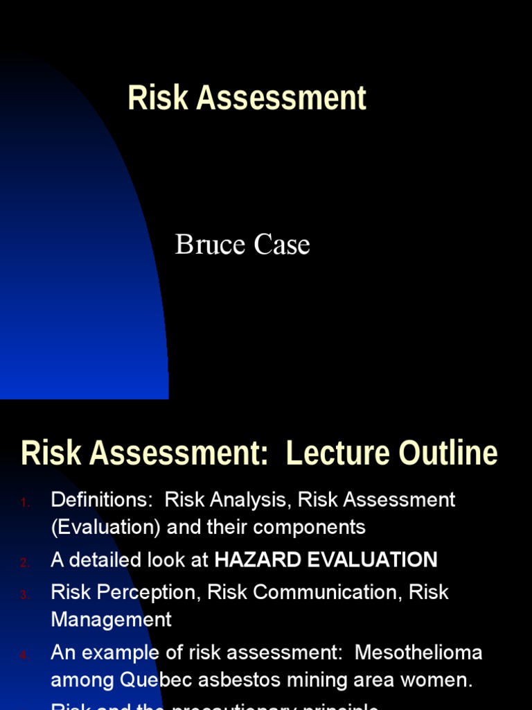 Risk Assessment: Bruce Case | PDF | Risk Assessment | Risk