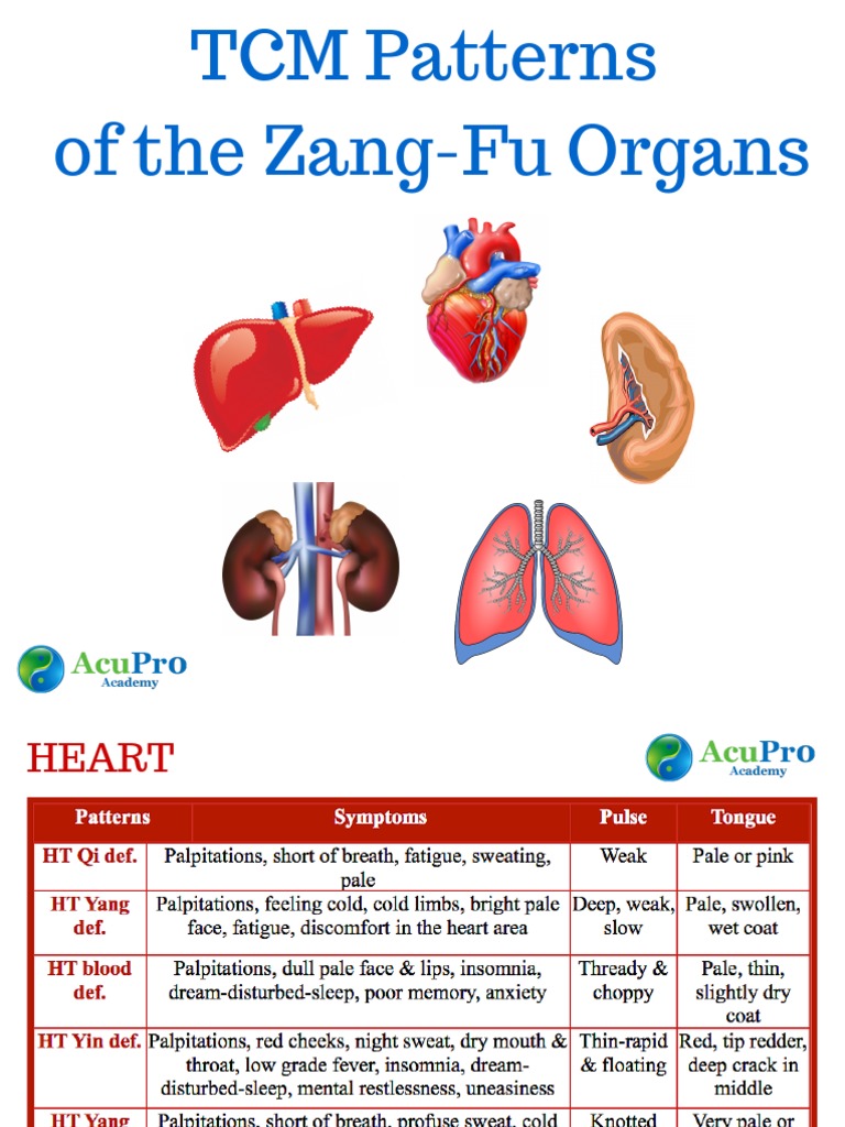 TCM Zang-Fu Organ Patterns | PDF
