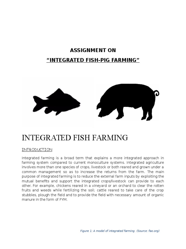 Aquaculture - Integrated Pig and Fish Farming | Manure | Aquaculture