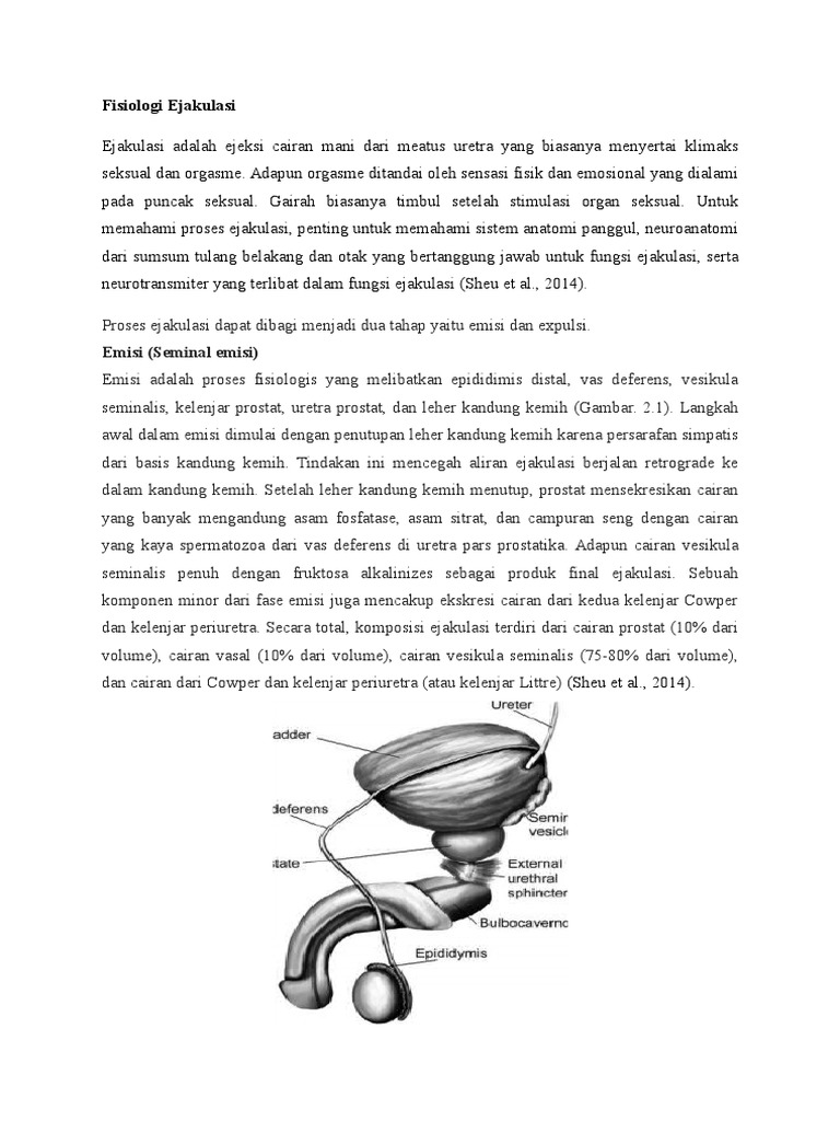 Fisiologi Ejakulasi | PDF