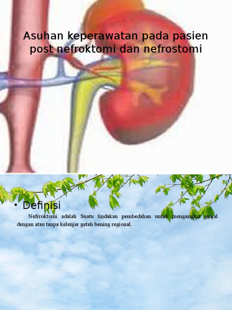 Asuhan Keperawatan Pada Pasien Post Nefroktomi Dan Nefrostomi