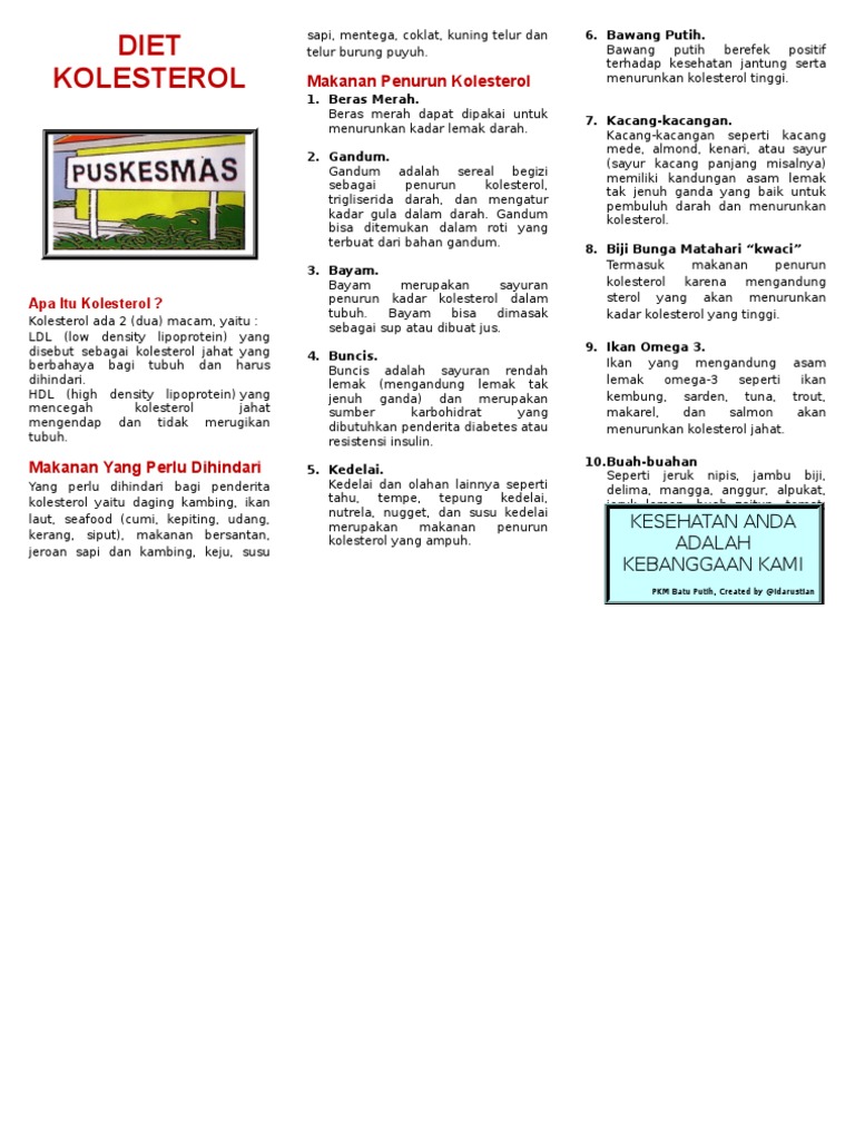 Leaflet Kolesterol | PDF
