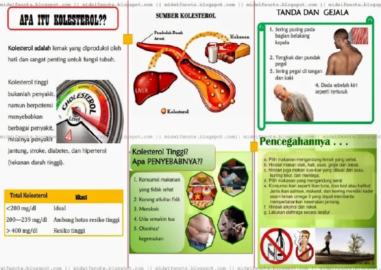Leaflet Kolesterol | PDF