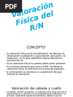 Escala Modificad de Shekelle | PDF