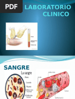 Rotulación e Identificación de Muestras | PDF | Histopatología ...