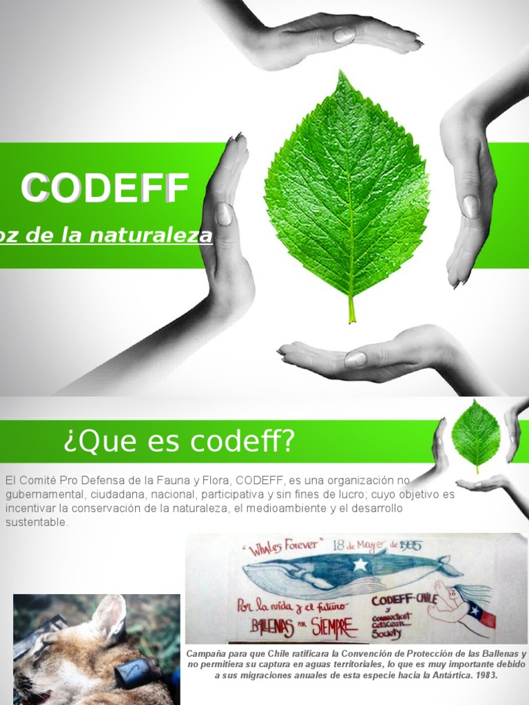 Codeff | PDF | Chile | Movimiento conservacionista