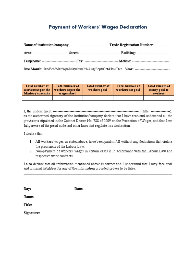 Wps Declaration en | PDF