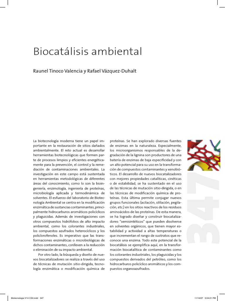 Biocatalisis PDF | PDF | Enzima | Catálisis