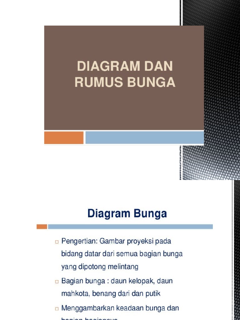 Kelompok 1B Diagram Bunga Dan Rumus Bunga | PDF